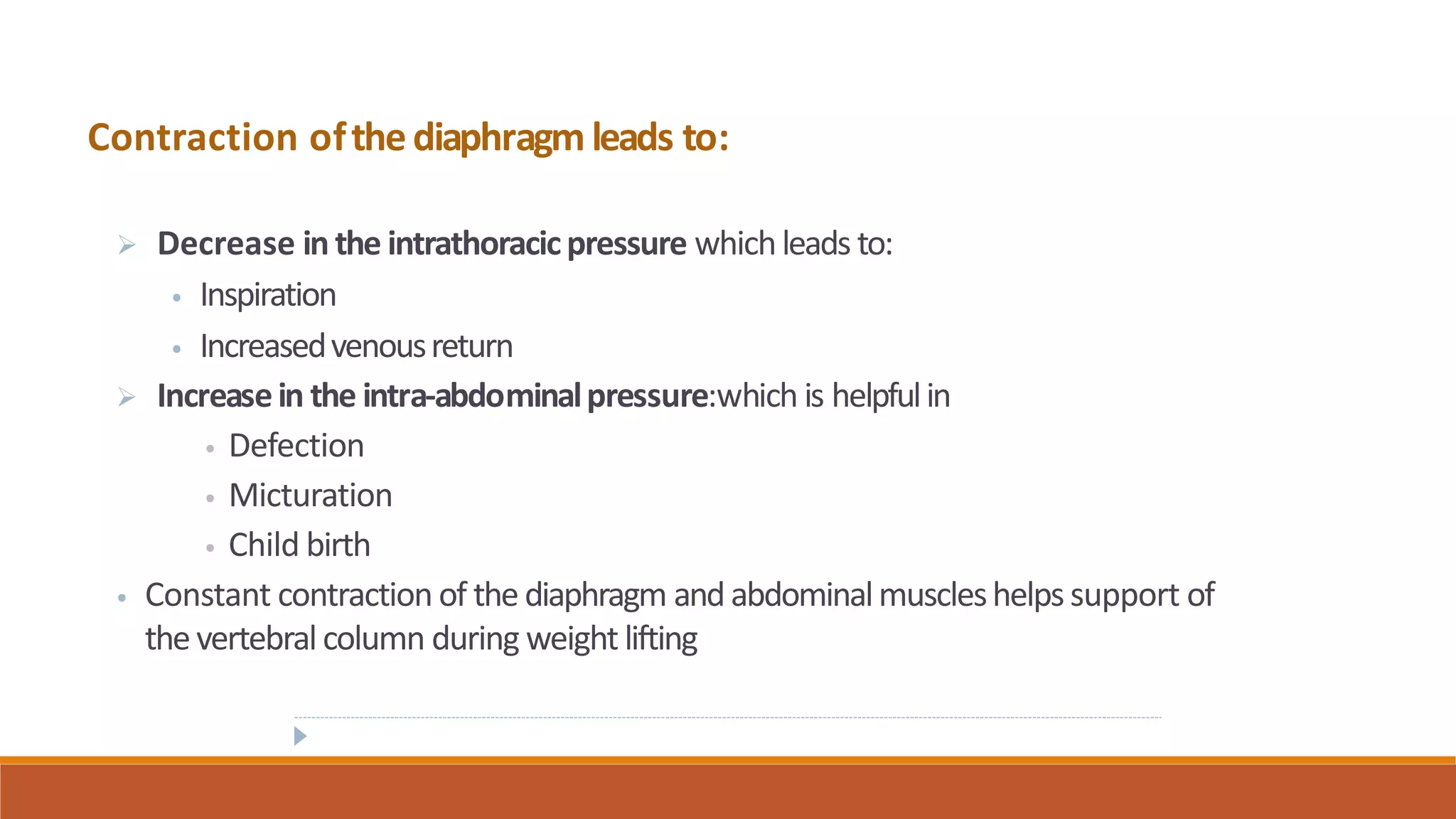 Anatomy of Upper& lower airway and Diaphragm.pptx