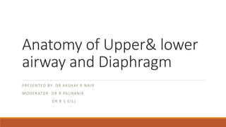 Anatomy of Upper& lower airway and Diaphragm.pptx