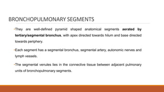 Anatomy of Upper& lower airway and Diaphragm.pptx