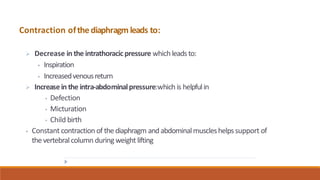 Anatomy of Upper& lower airway and Diaphragm.pptx