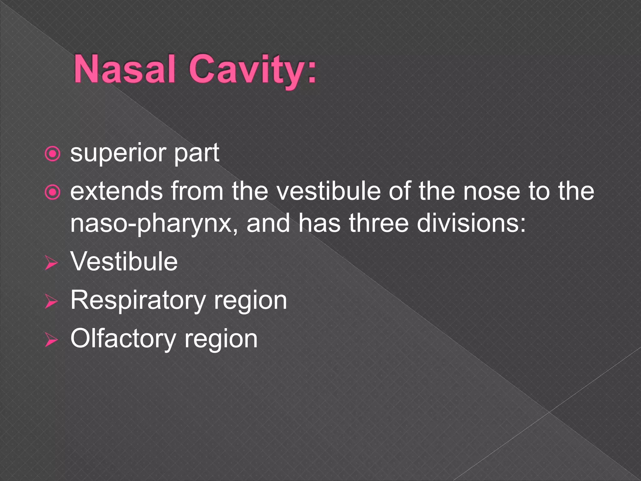 Anatomy of upper respiratory tract part 1 | PPTX