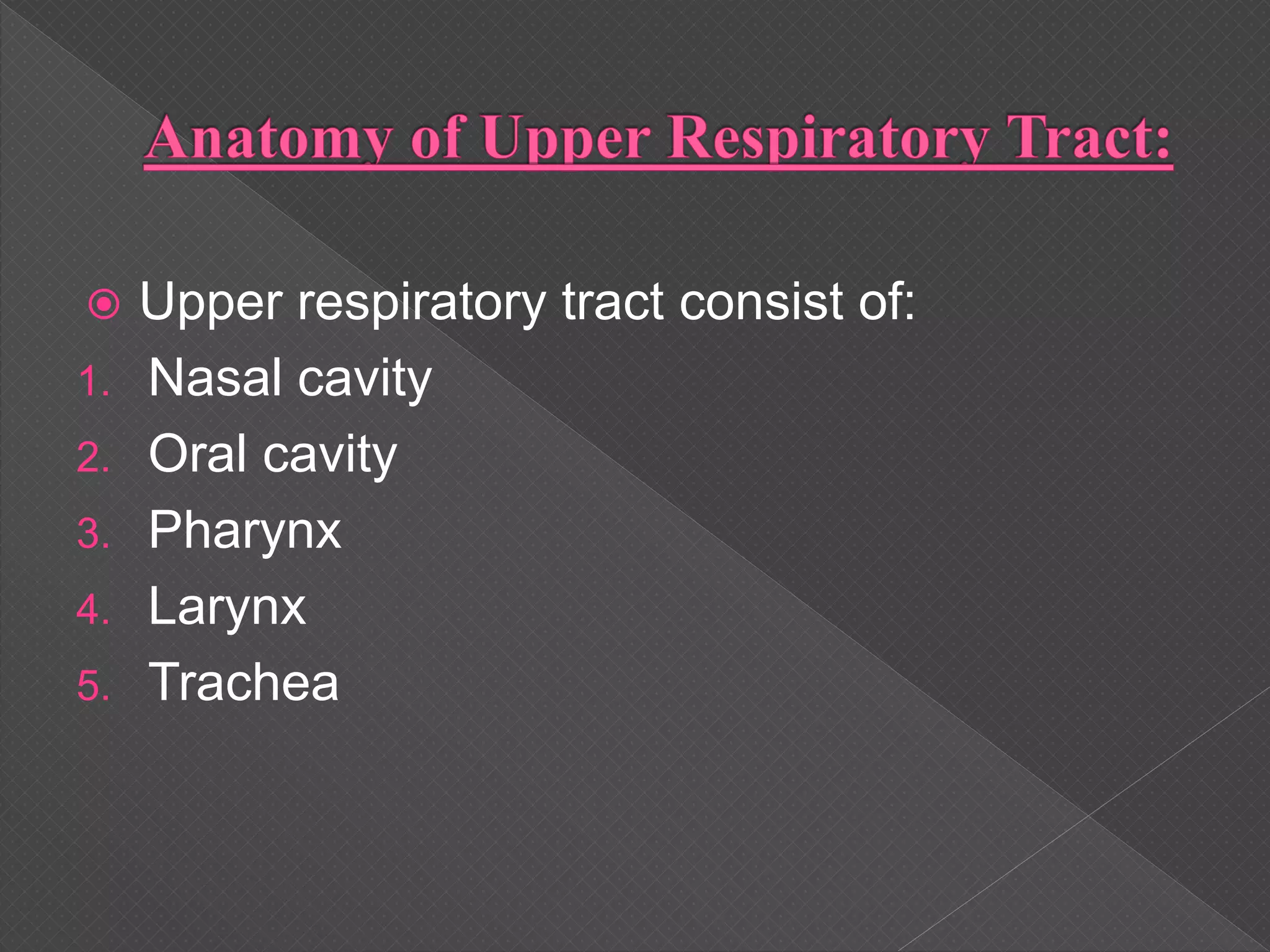 Anatomy of upper respiratory tract part 1 | PPTX