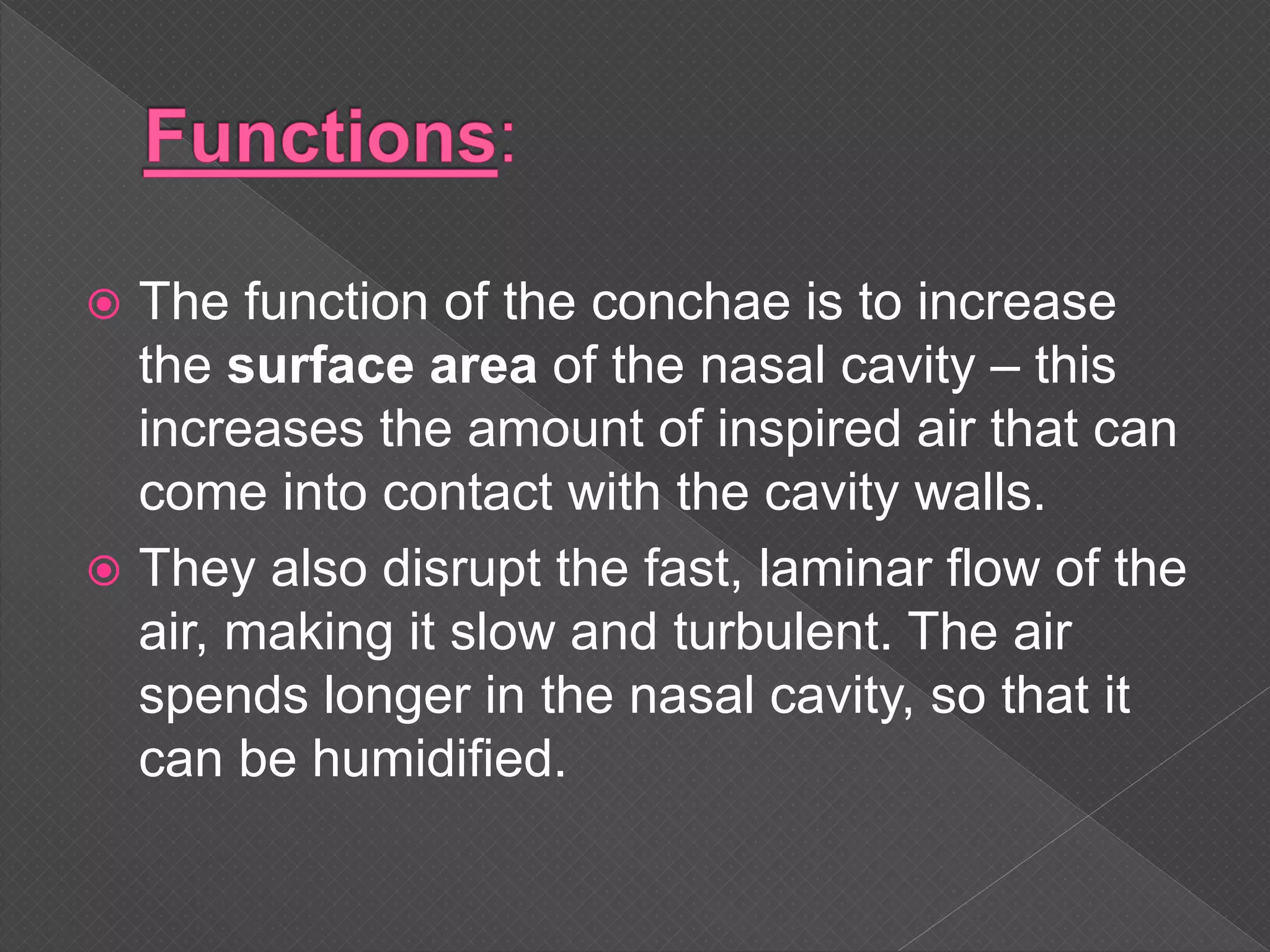 Anatomy of upper respiratory tract part 1 | PPTX