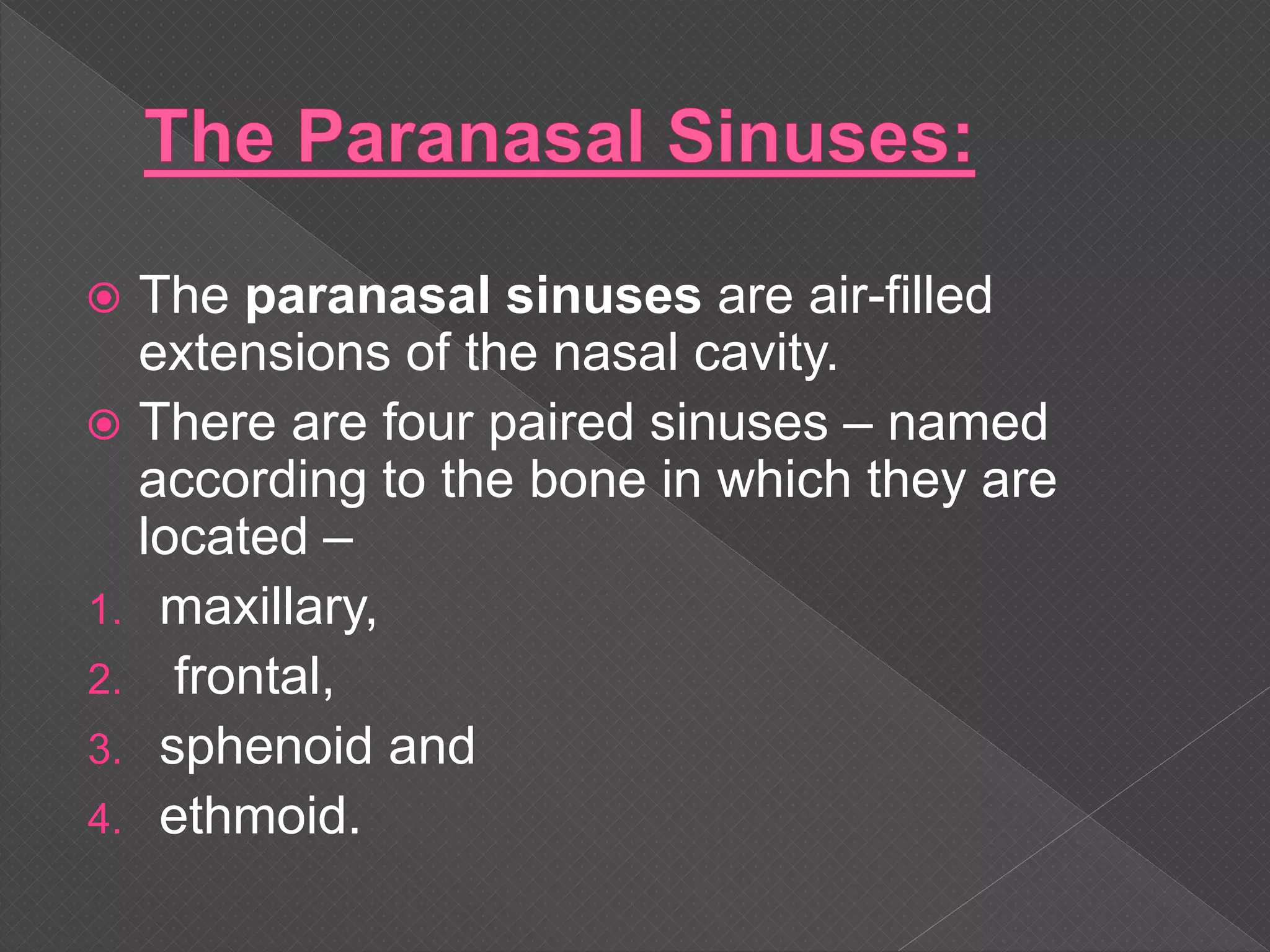 Anatomy of upper respiratory tract part 1 | PPTX