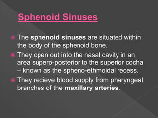 Anatomy of upper respiratory tract part 1 | PPTX