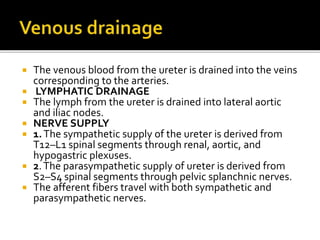 ANATOMY OF URETERS.pptx