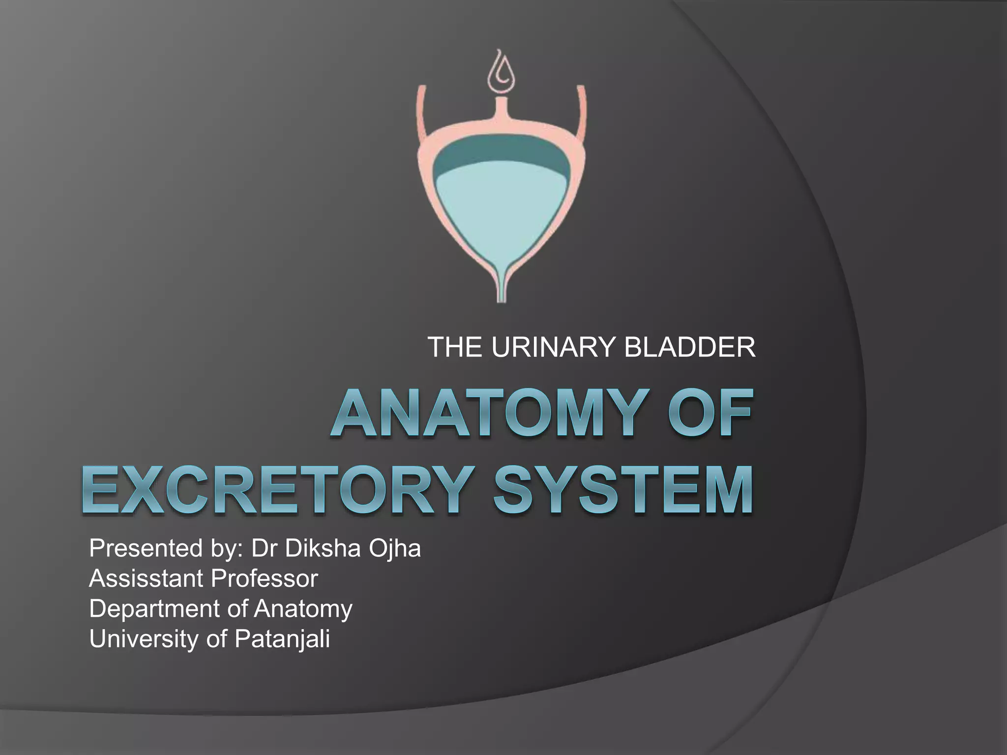 ANATOMY OFurinary bladder.pptx