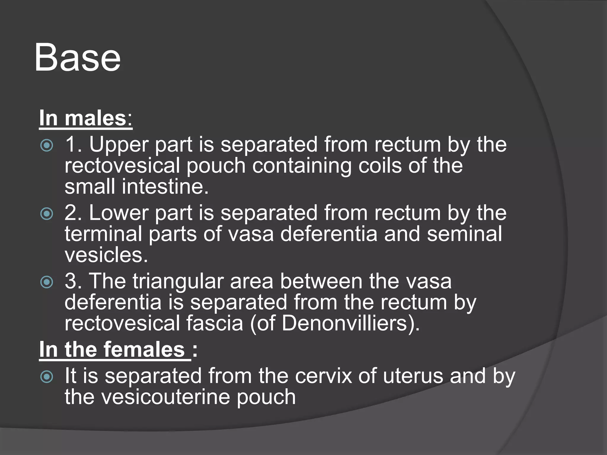 ANATOMY OFurinary bladder.pptx