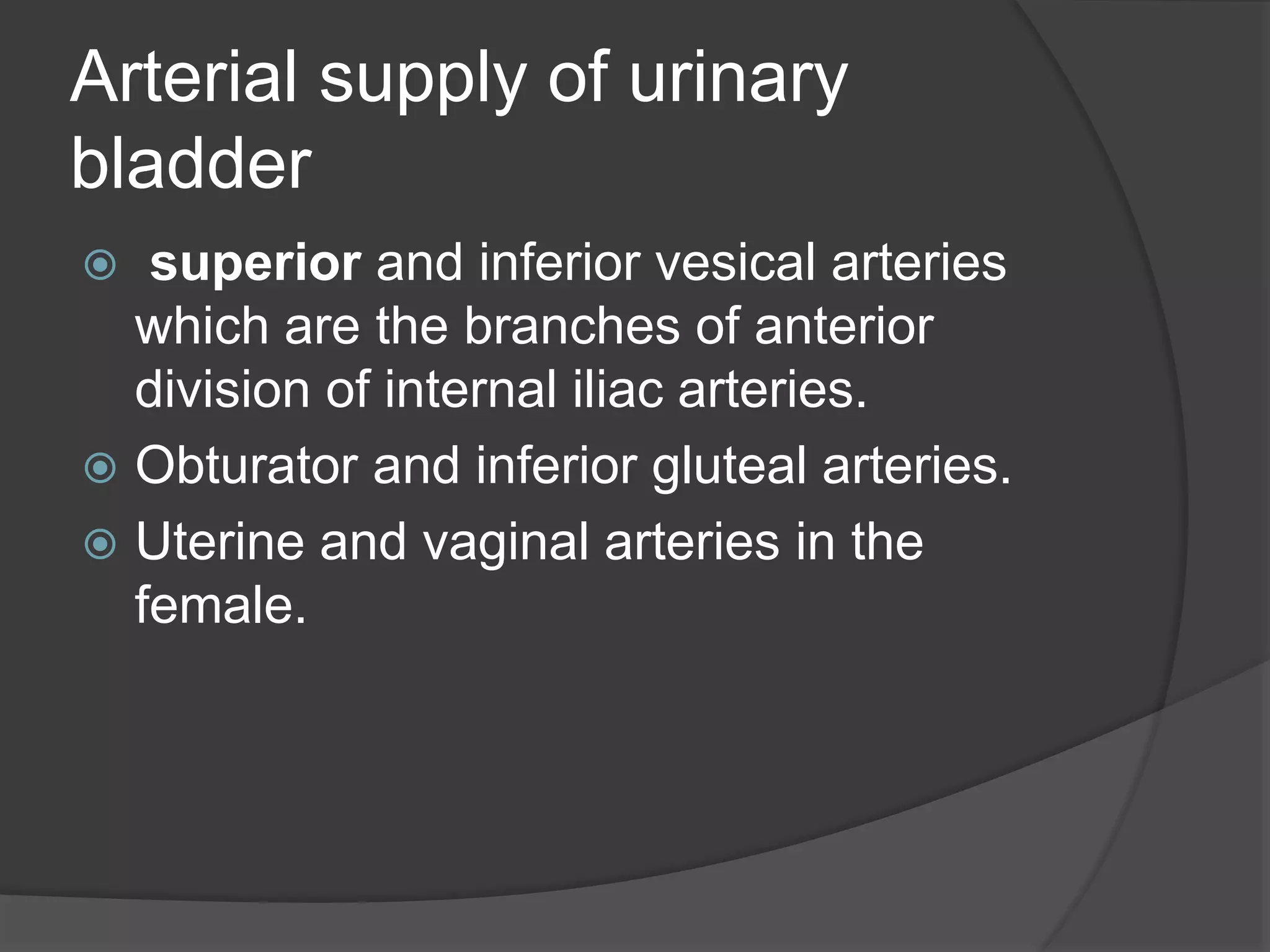ANATOMY OFurinary bladder.pptx