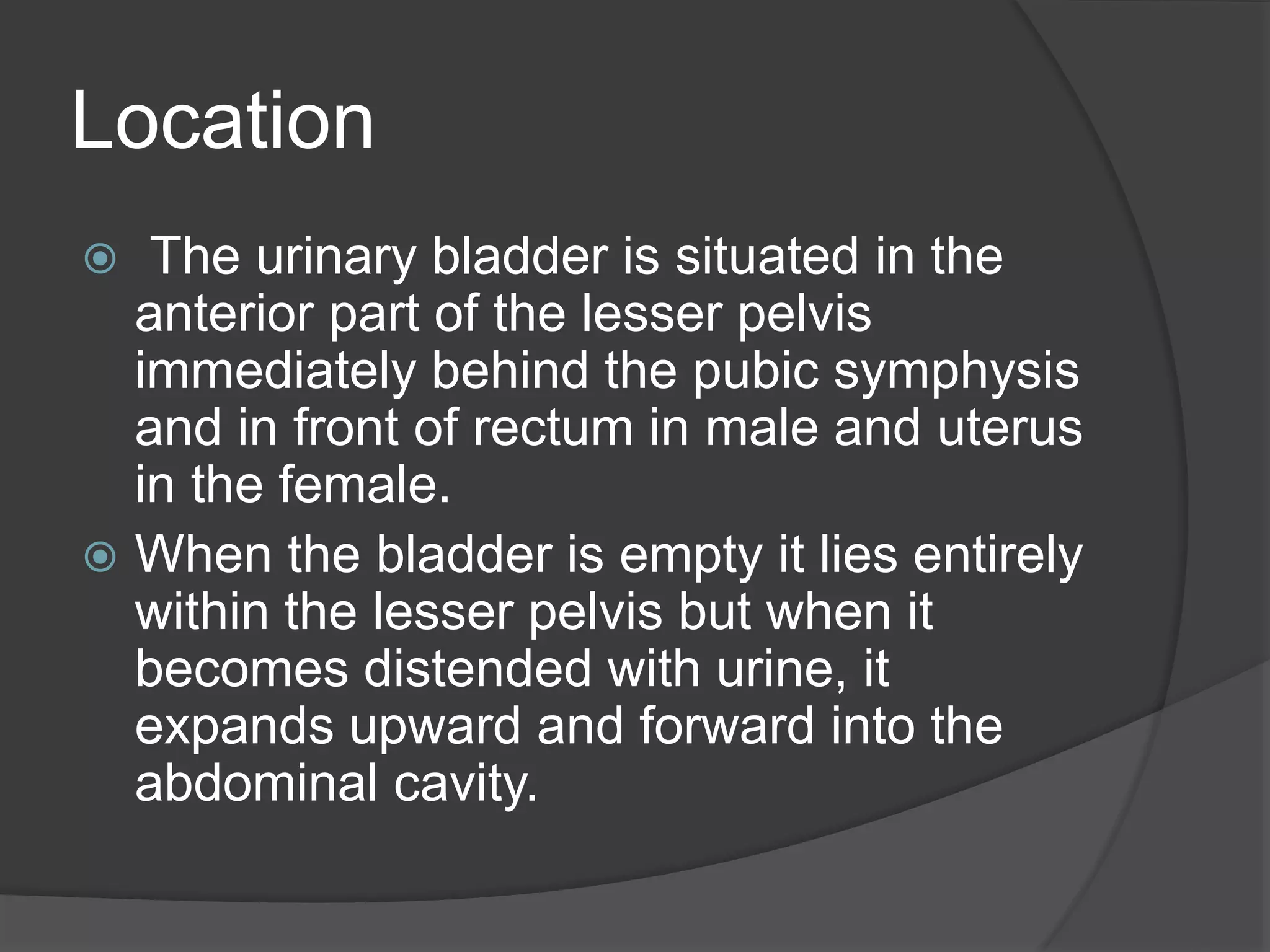 ANATOMY OFurinary bladder.pptx