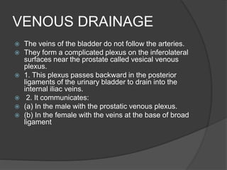 ANATOMY OFurinary bladder.pptx