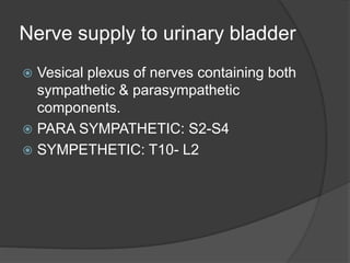 ANATOMY OFurinary bladder.pptx