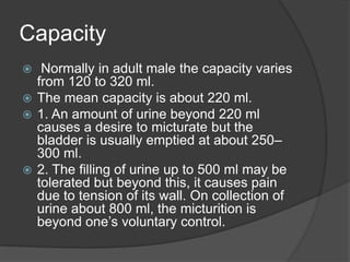 ANATOMY OFurinary bladder.pptx