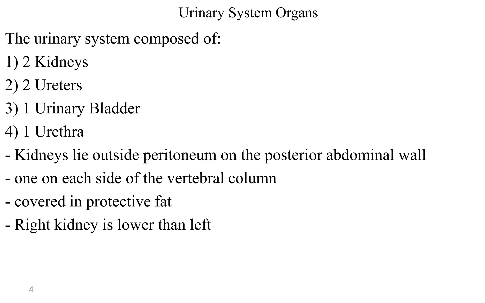 Anatomy of urinary system | PPTX