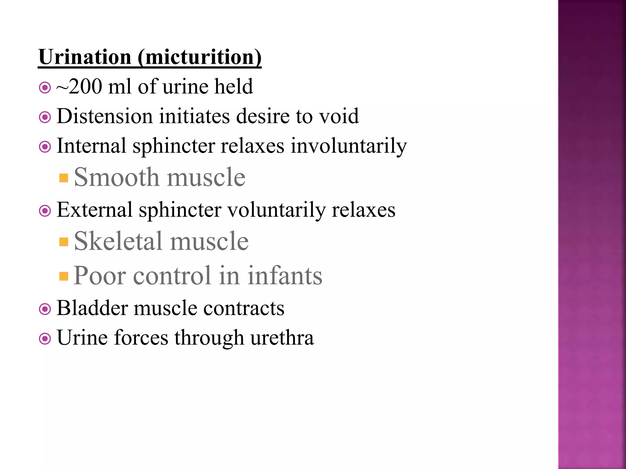 Anatomy of urinary system | PPTX