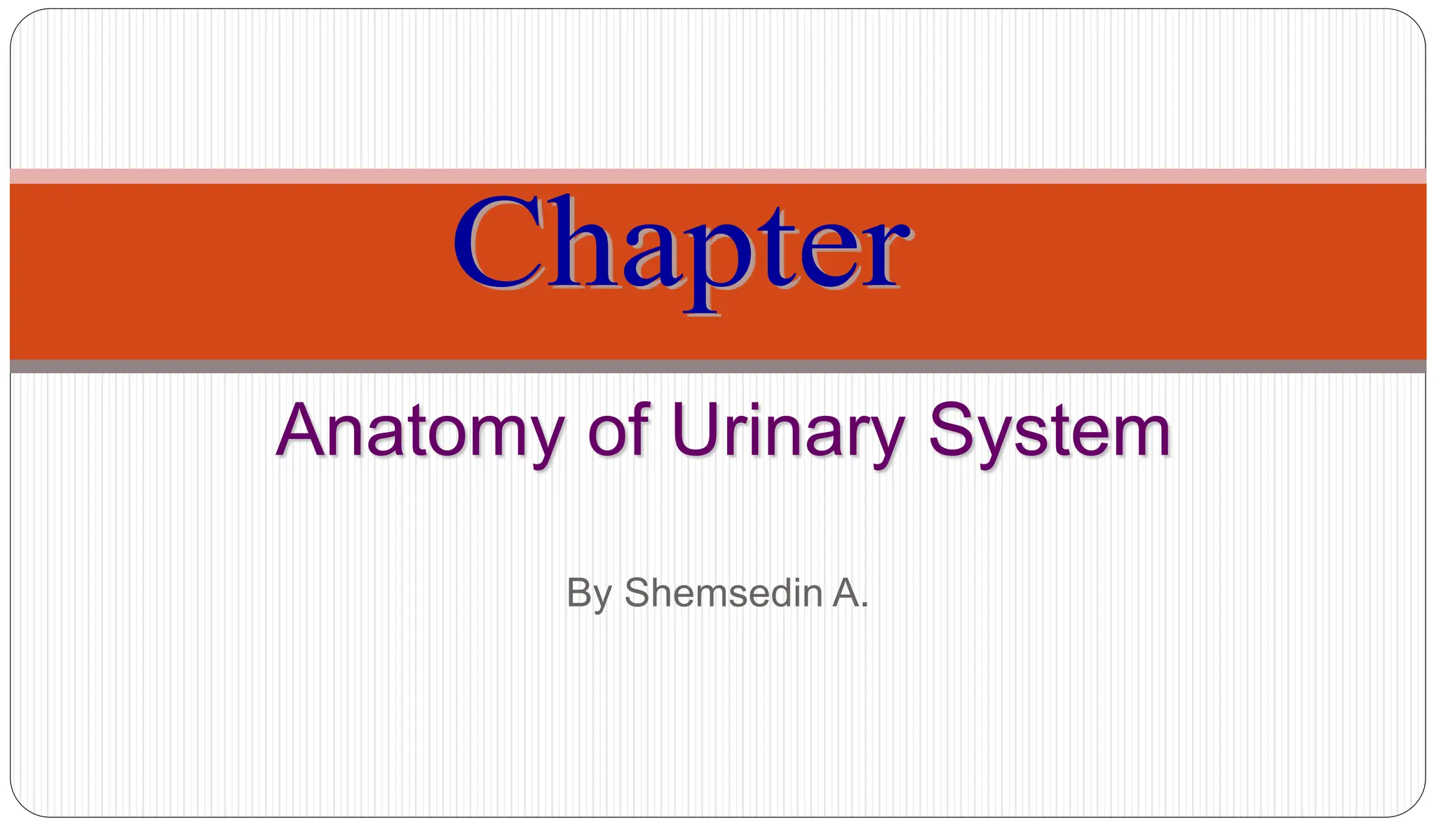 Anatomy of Urinary System.pptx