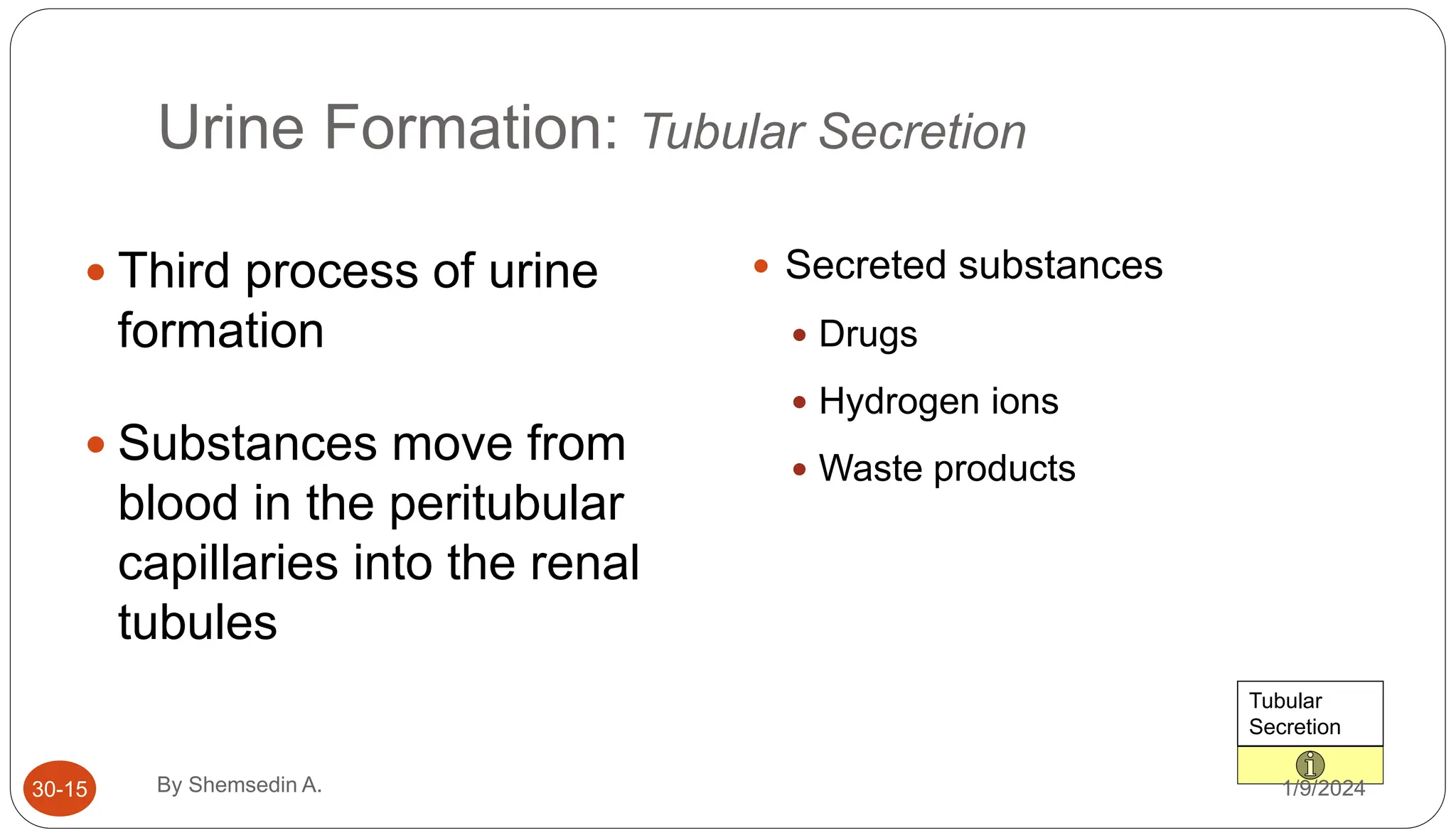Anatomy of Urinary System.pptx