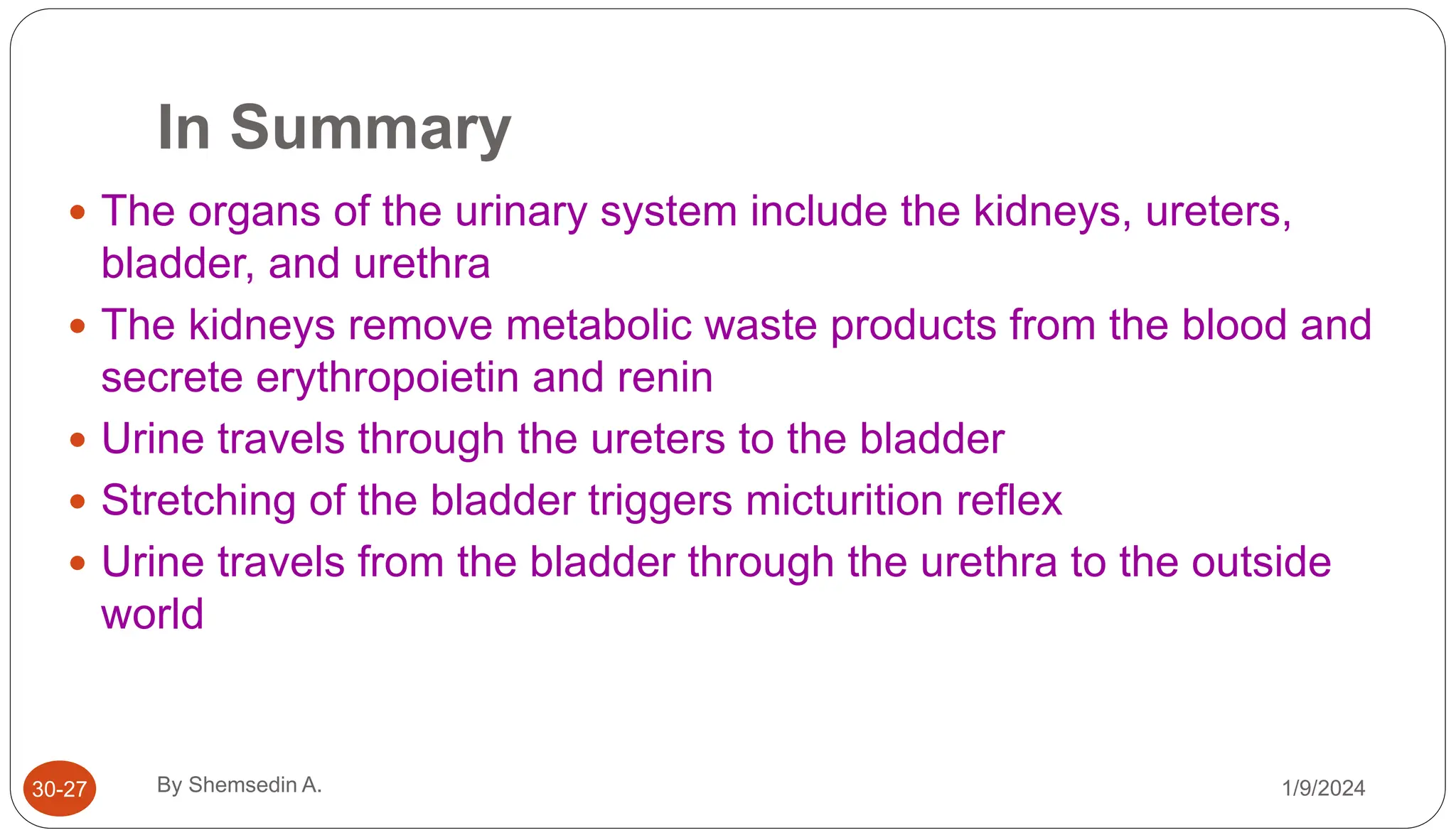 Anatomy of Urinary System.pptx
