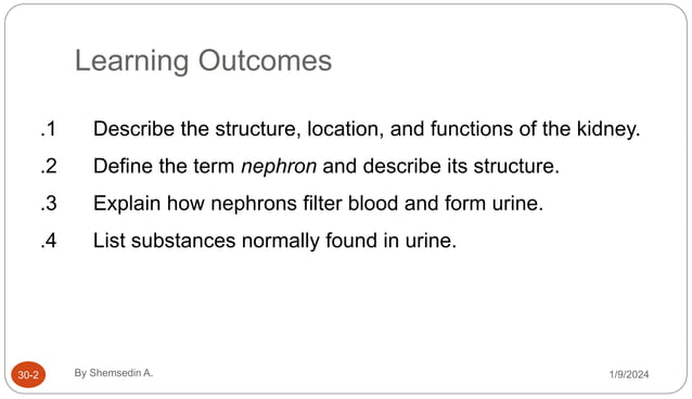 Anatomy of Urinary System.pptx