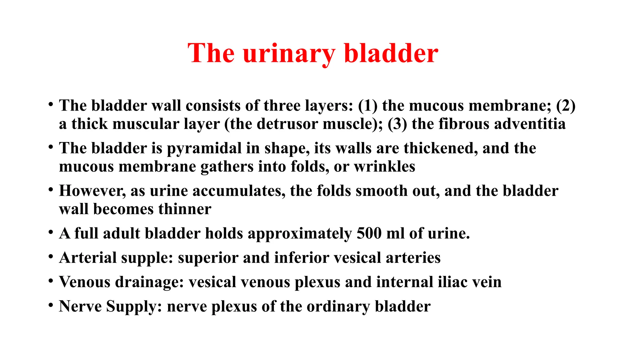 Anatomy of urinary system.prepared by DR. DANISH HABIB BHAT | PPTX