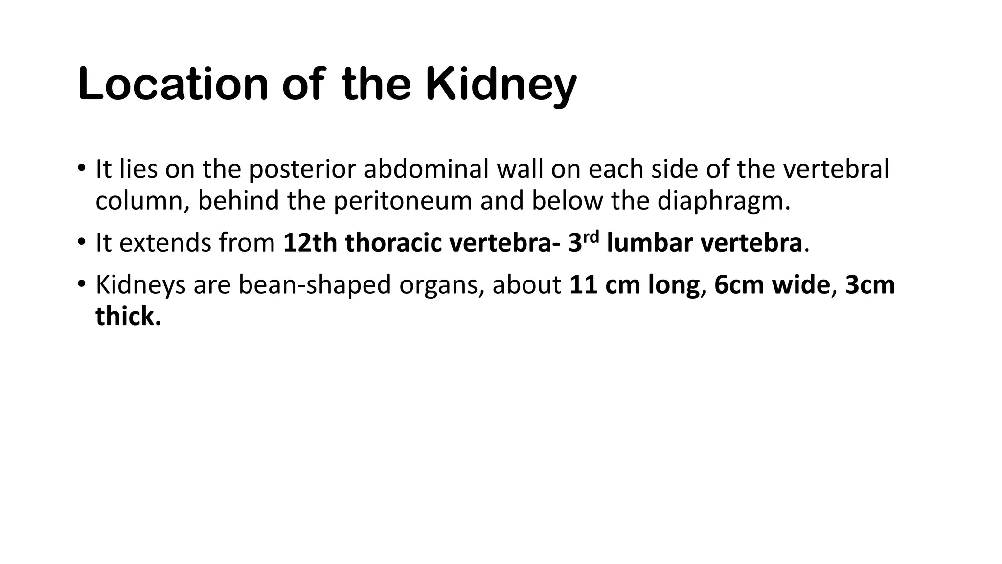 Anatomy of urinary system(1).pdf