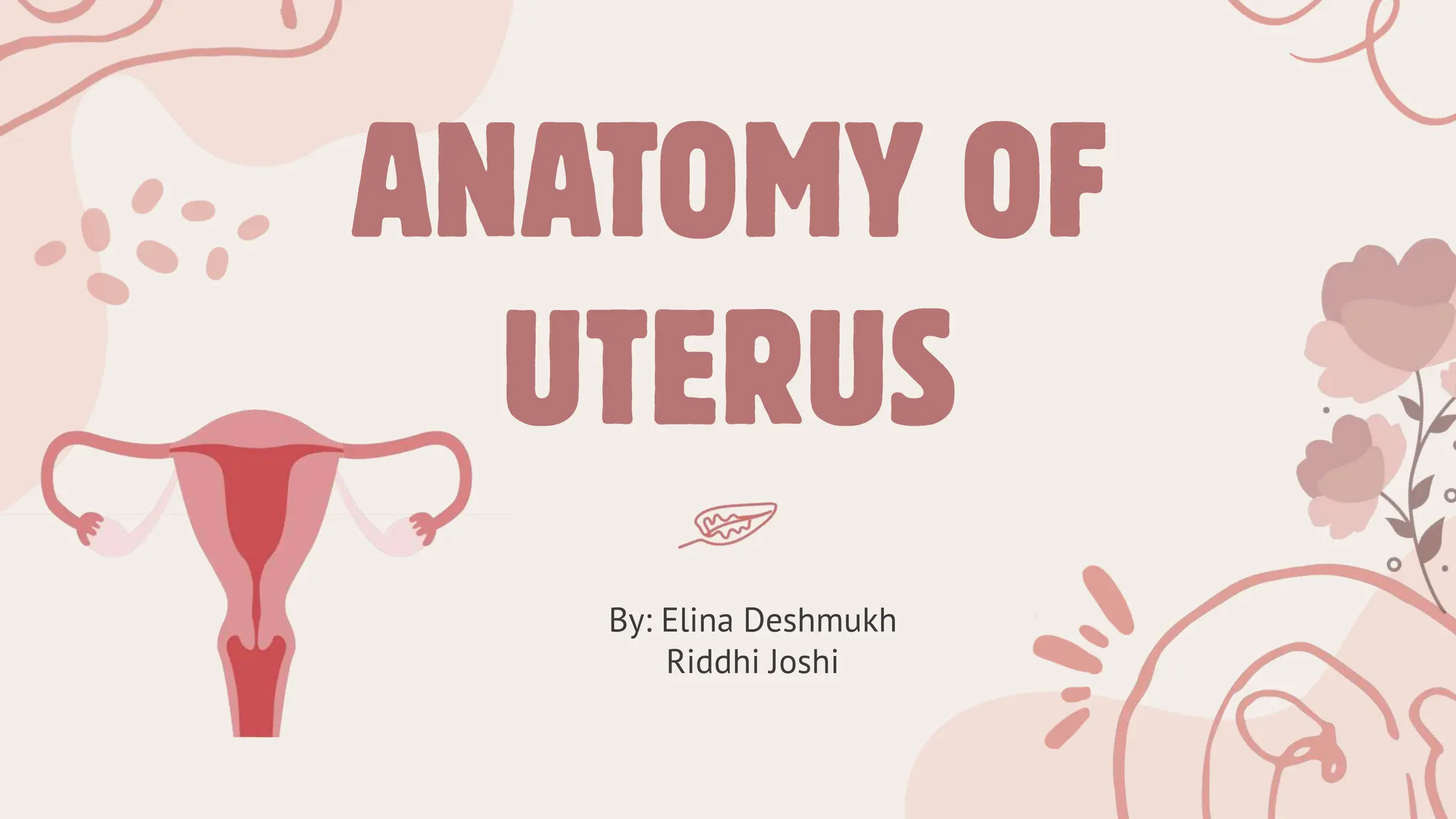 anatomy of uterus_100_202431123456234.pptx
