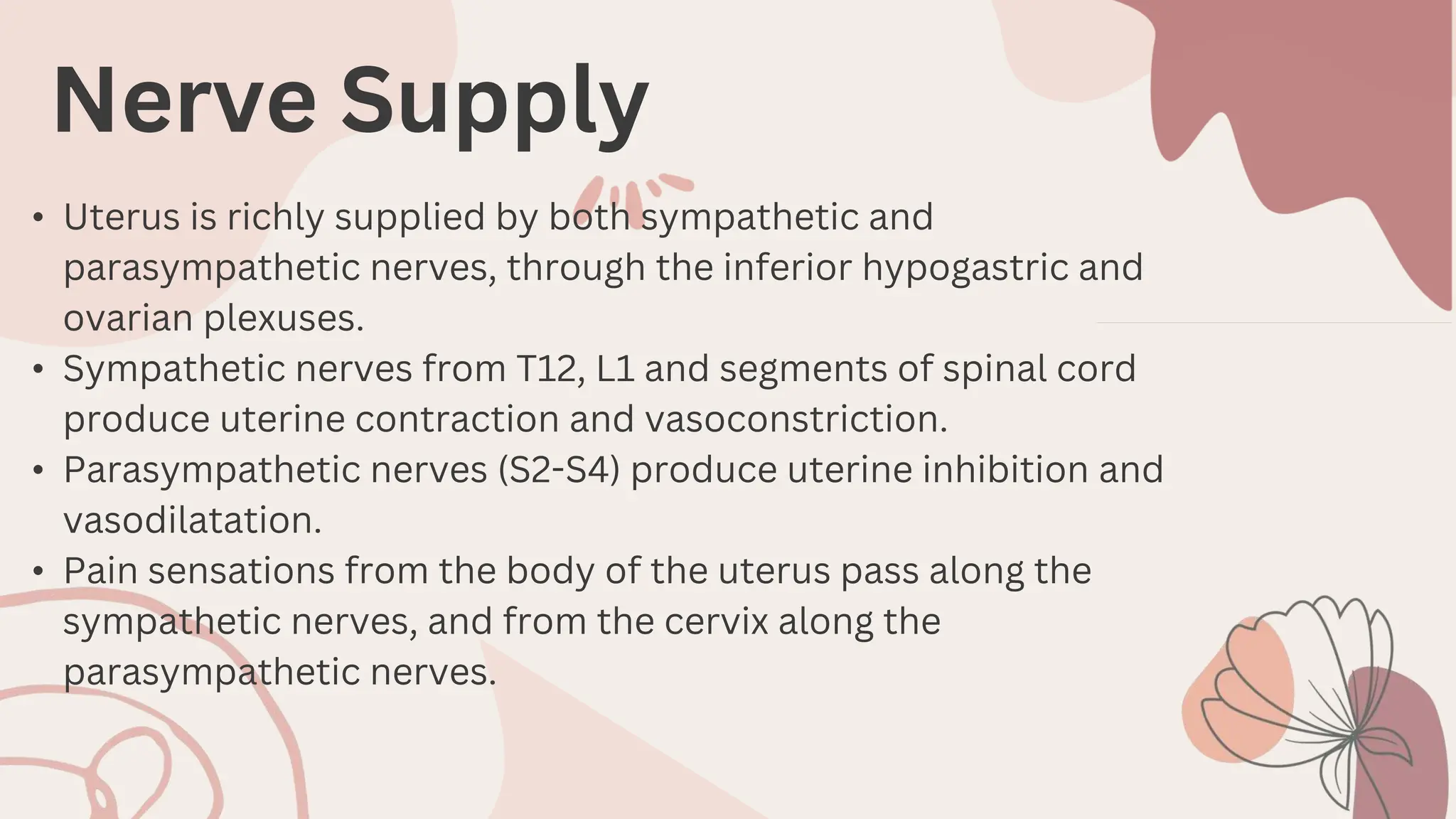 anatomy of uterus_100_202431123456234.pptx
