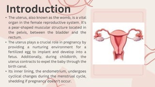 anatomy of uterus_100_202431123456234.pptx