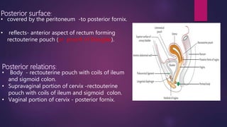 anatomyofuterusandappendages-190620163421.pdf | Free Download