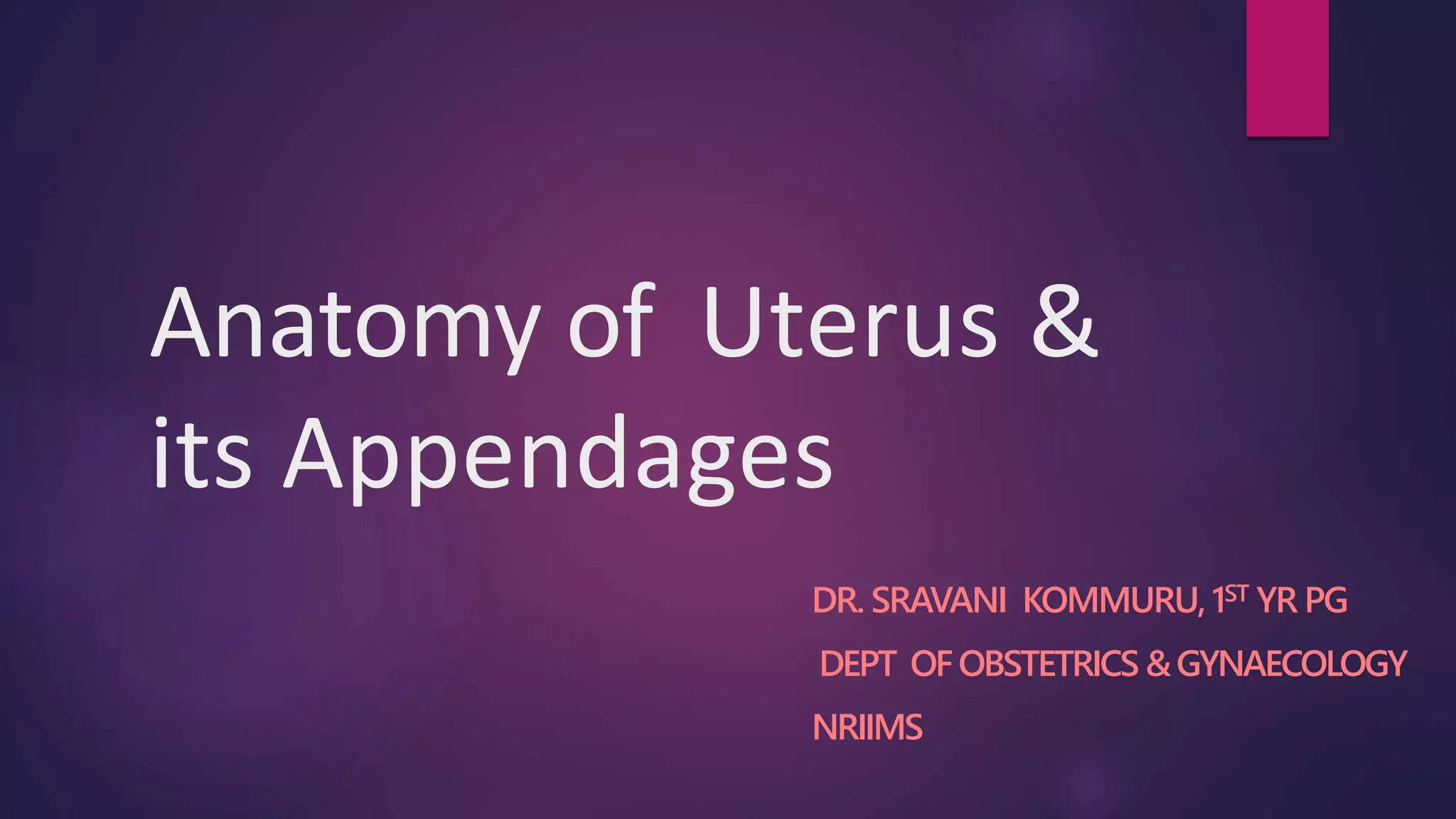 Anatomy of uterus and appendages | PPTX