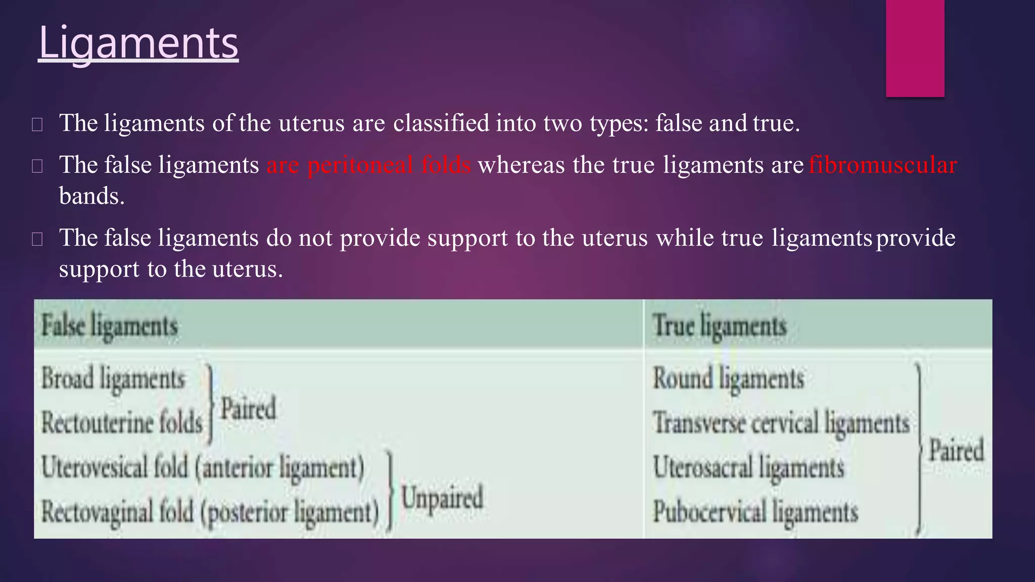Anatomy of uterus and appendages | PPTX