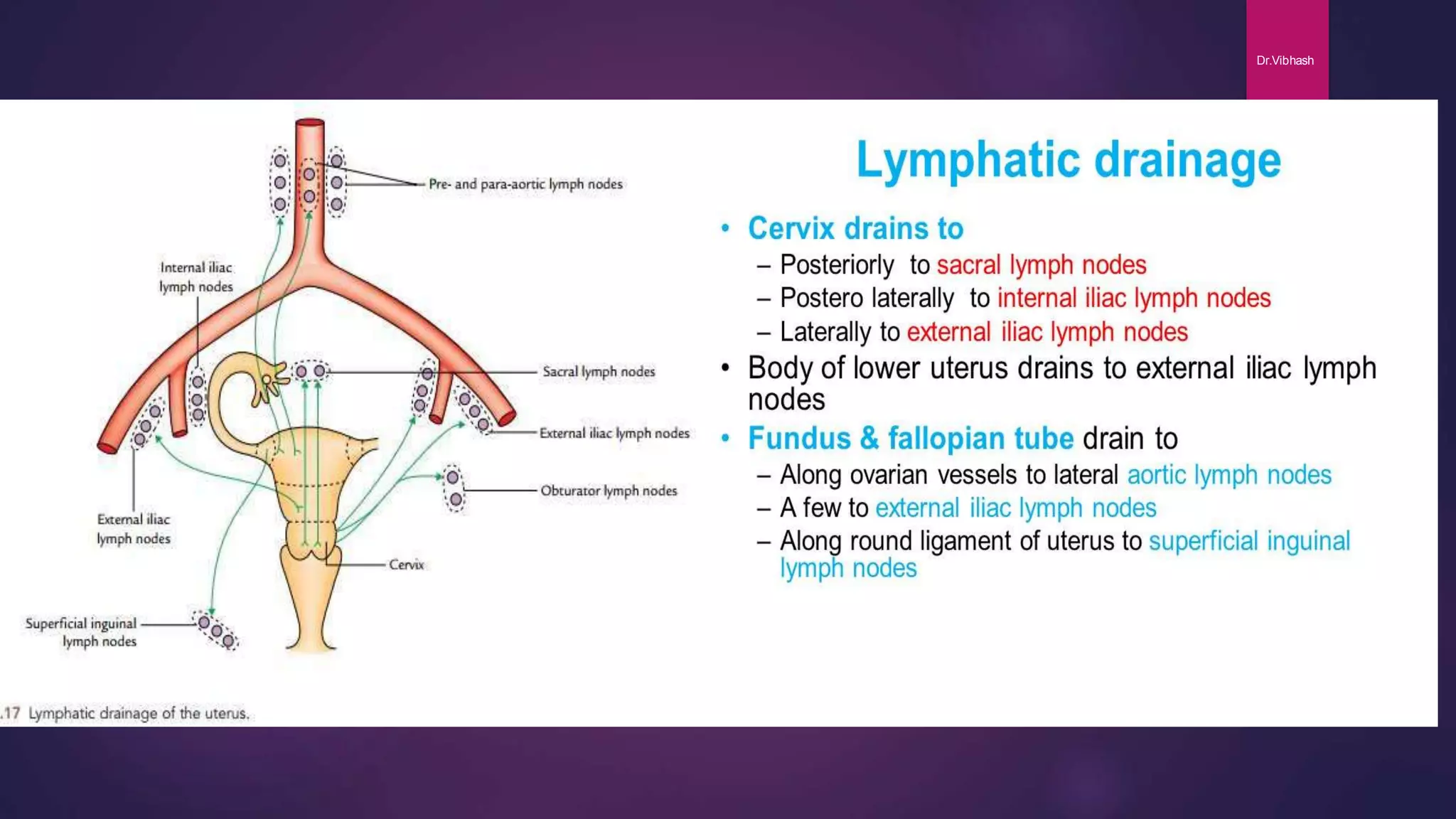 Anatomy of uterus and appendages | PPTX