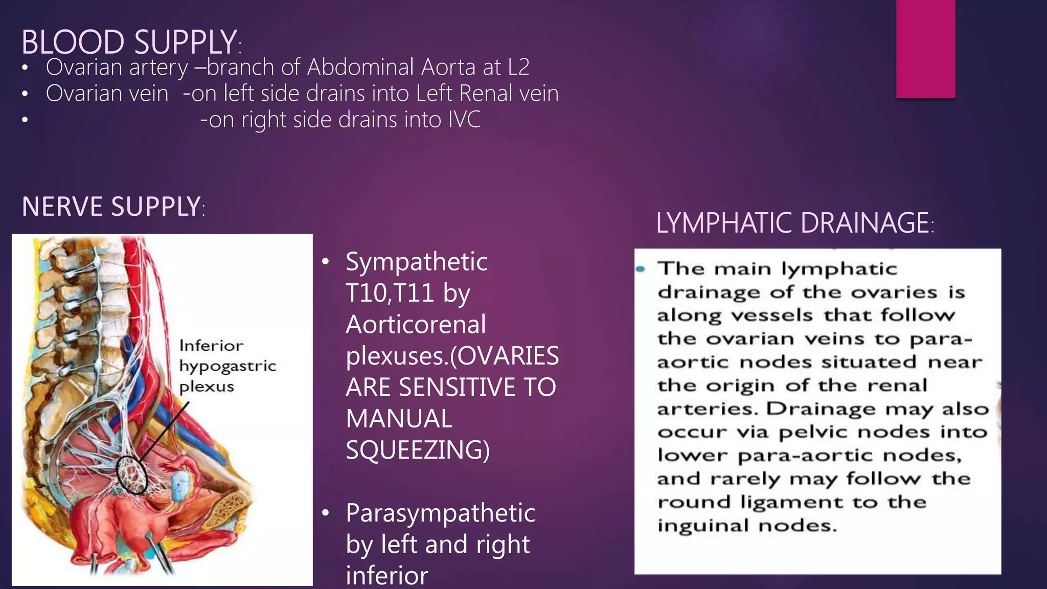 Anatomy of uterus and appendages | PPTX