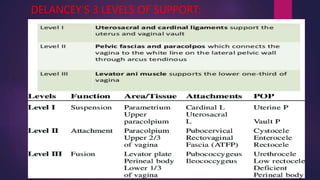 Anatomy of uterus and appendages | PPTX
