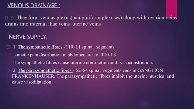 Anatomy of uterus and appendages | PPTX | Pregnancy | Reproductive Health