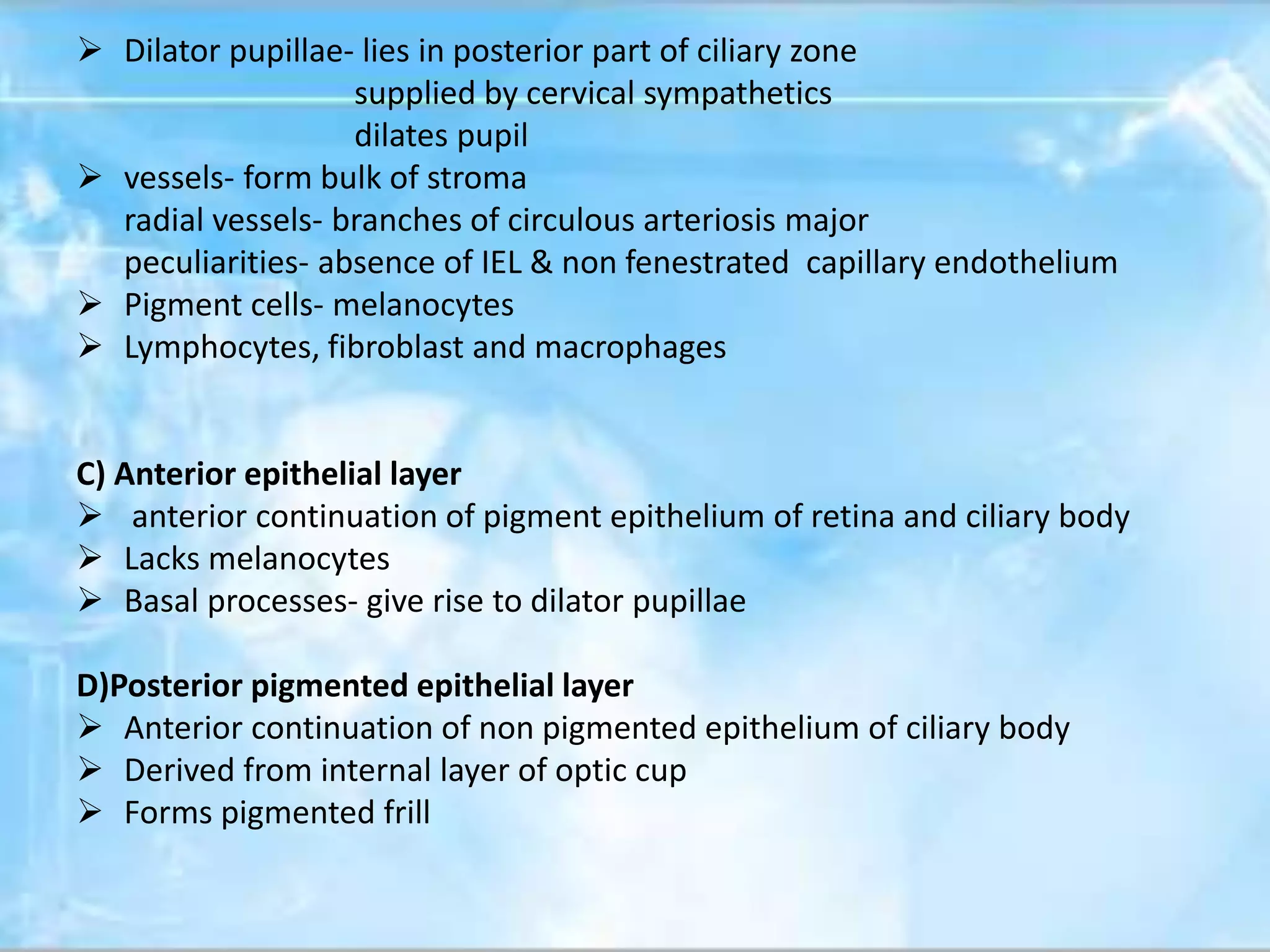 Anatomy of uvea | PPTX