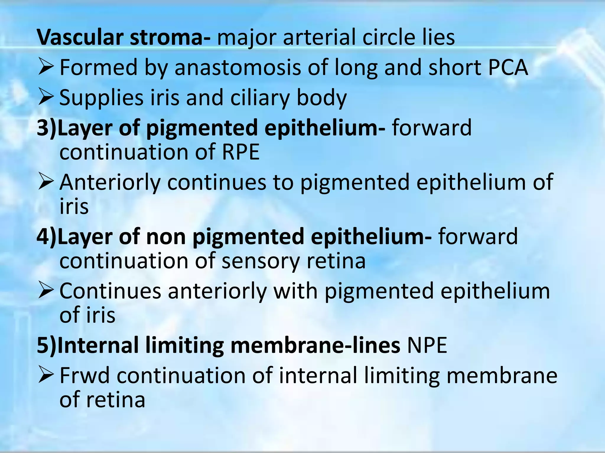 Anatomy of uvea | PPTX