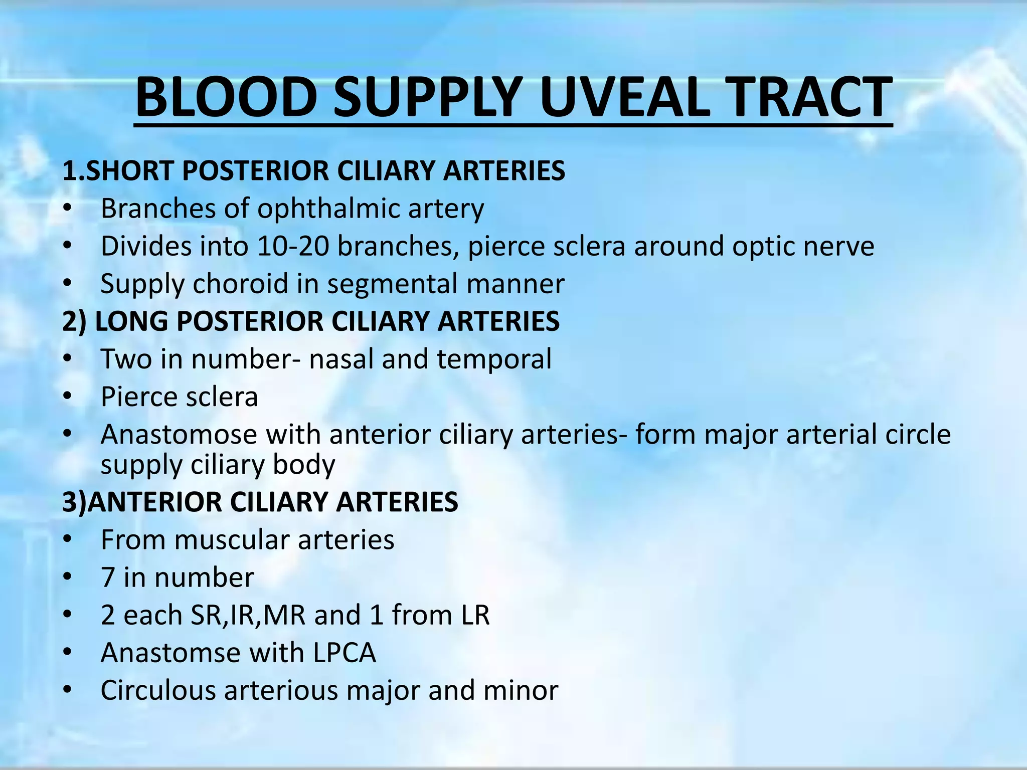 Anatomy of uvea | PPTX