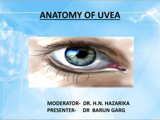 Anatomy of uvea | PPTX
