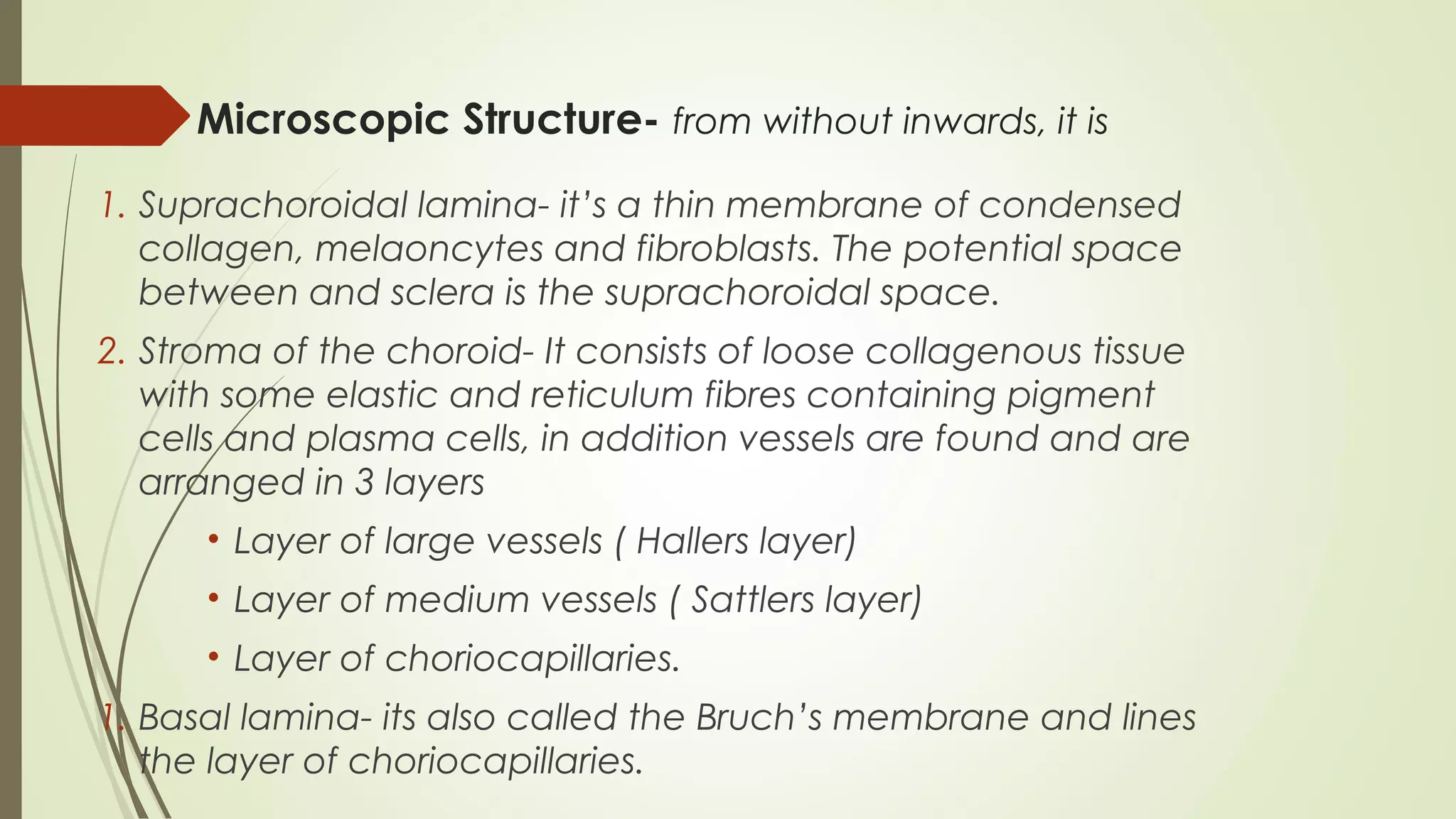 Anatomy of uvea | PPT