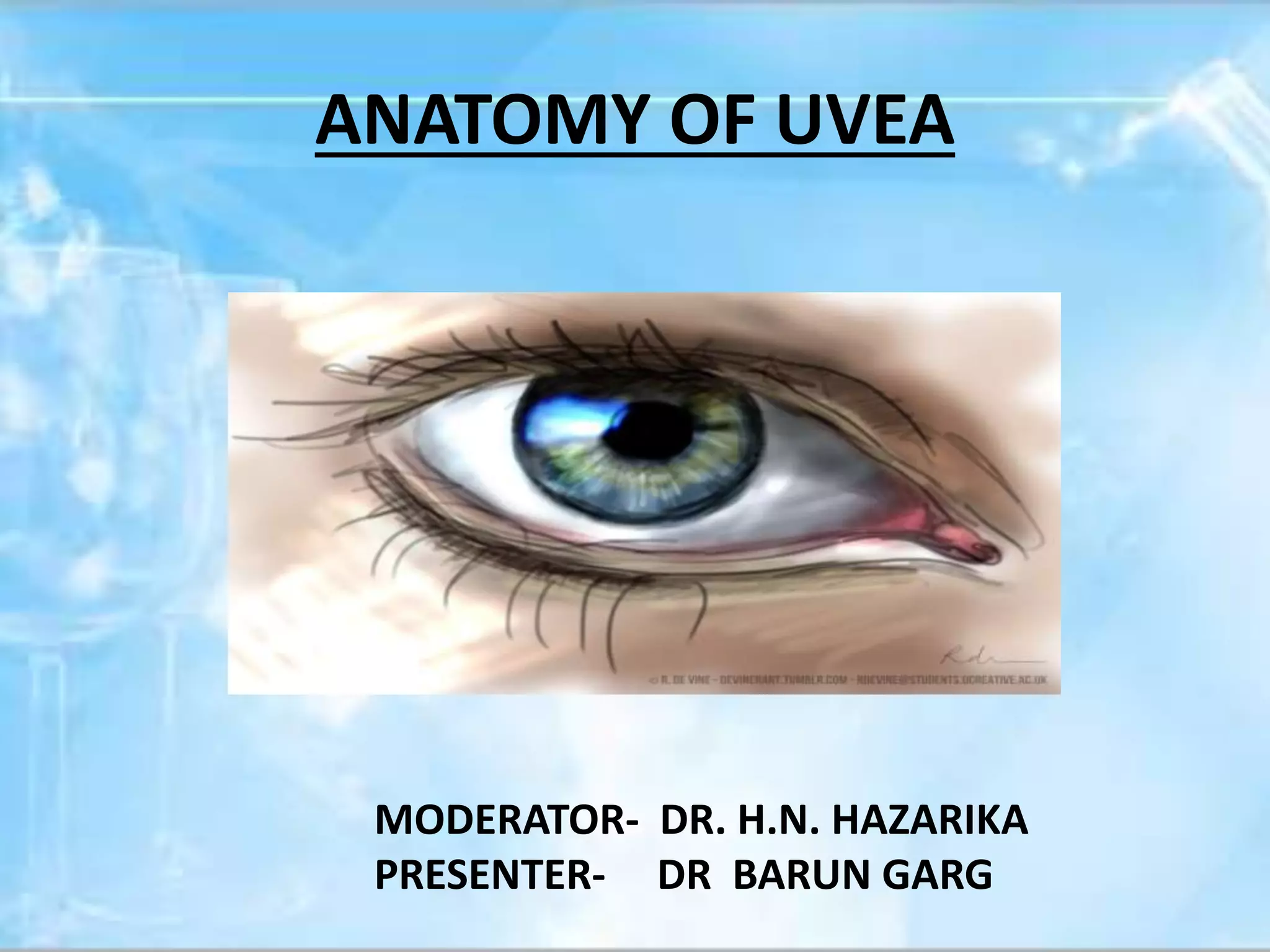 #ANATOMY OF UVEA (IRIS, CILLIARY BODY, CHOROID) | PDF