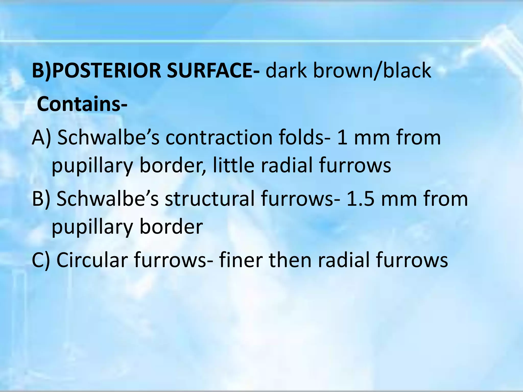 #ANATOMY OF UVEA (IRIS, CILLIARY BODY, CHOROID) | PDF