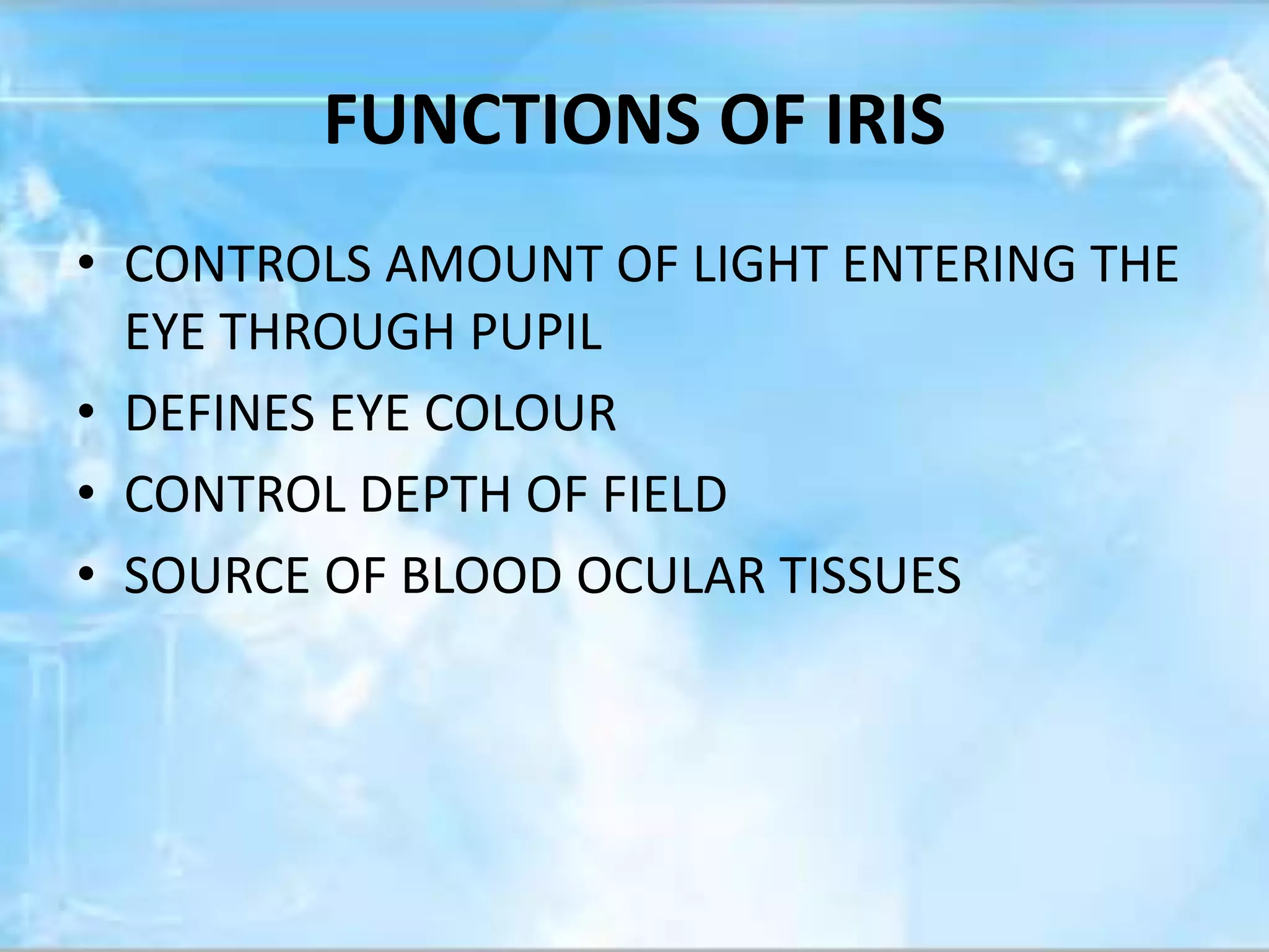 #ANATOMY OF UVEA (IRIS, CILLIARY BODY, CHOROID) | PDF