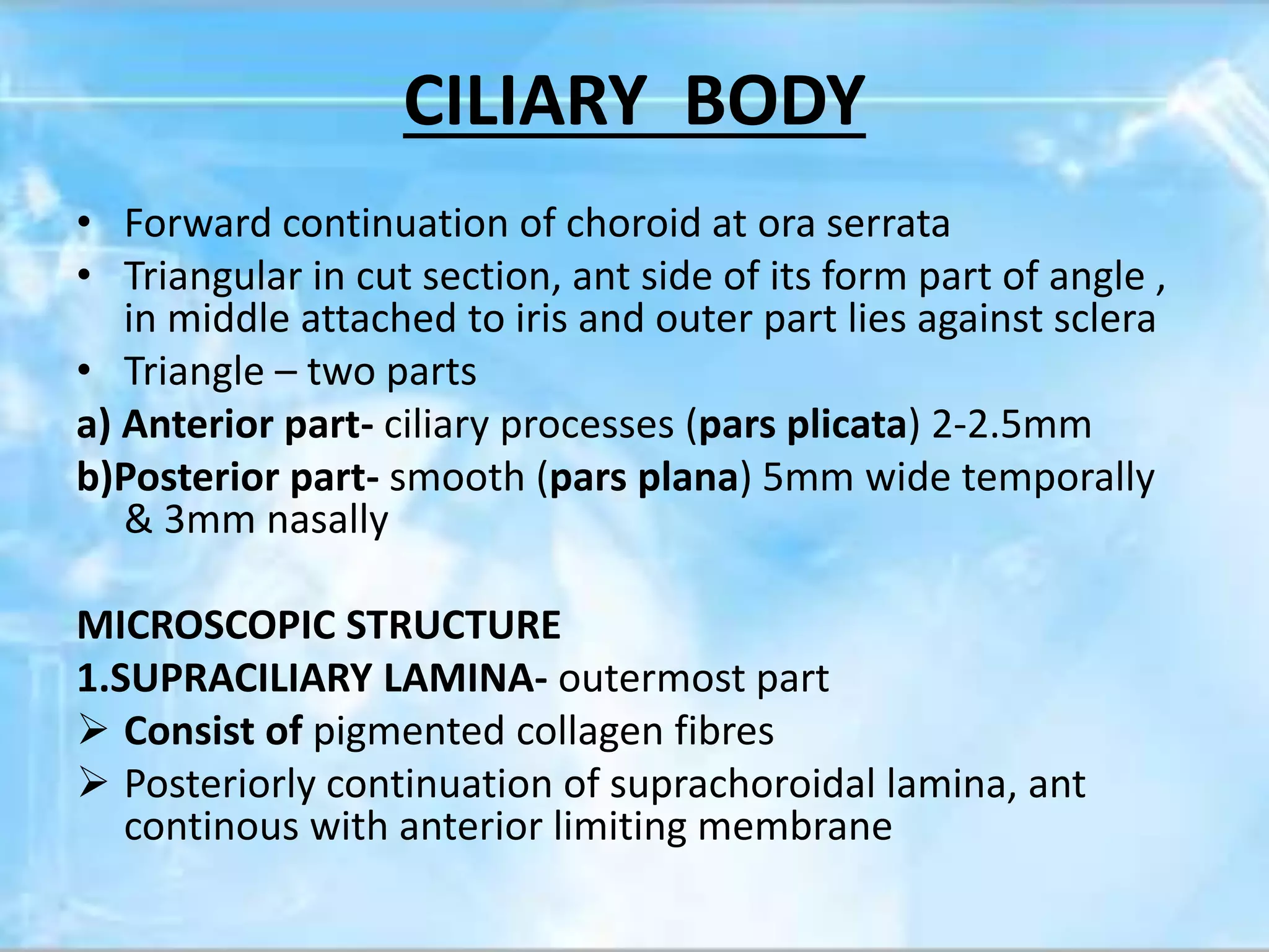#ANATOMY OF UVEA (IRIS, CILLIARY BODY, CHOROID) | PDF