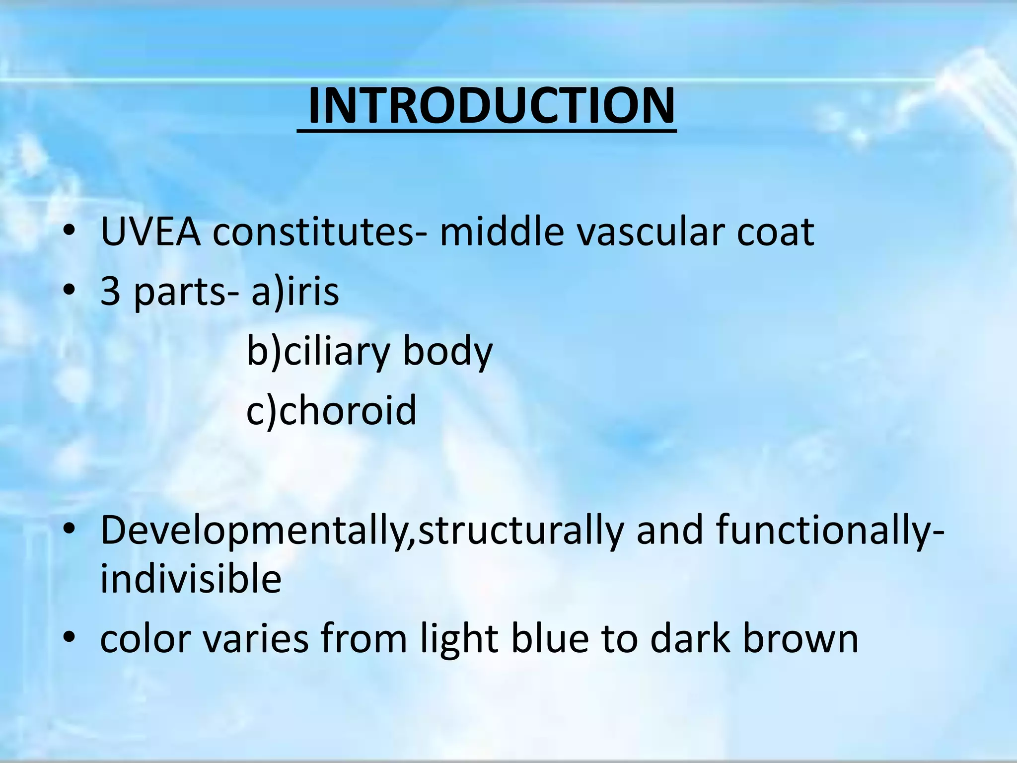 #ANATOMY OF UVEA (IRIS, CILLIARY BODY, CHOROID) | PDF