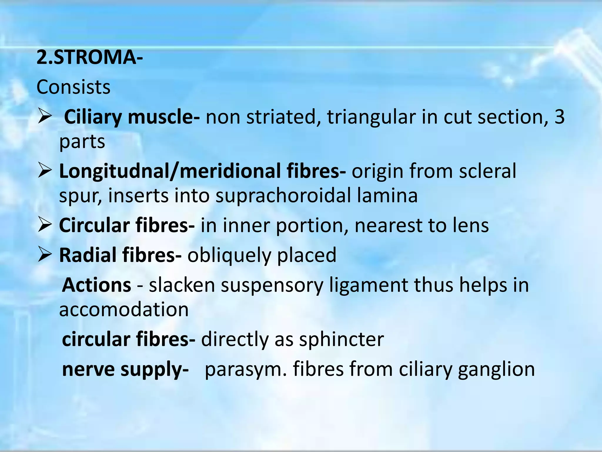 #ANATOMY OF UVEA (IRIS, CILLIARY BODY, CHOROID) | PDF