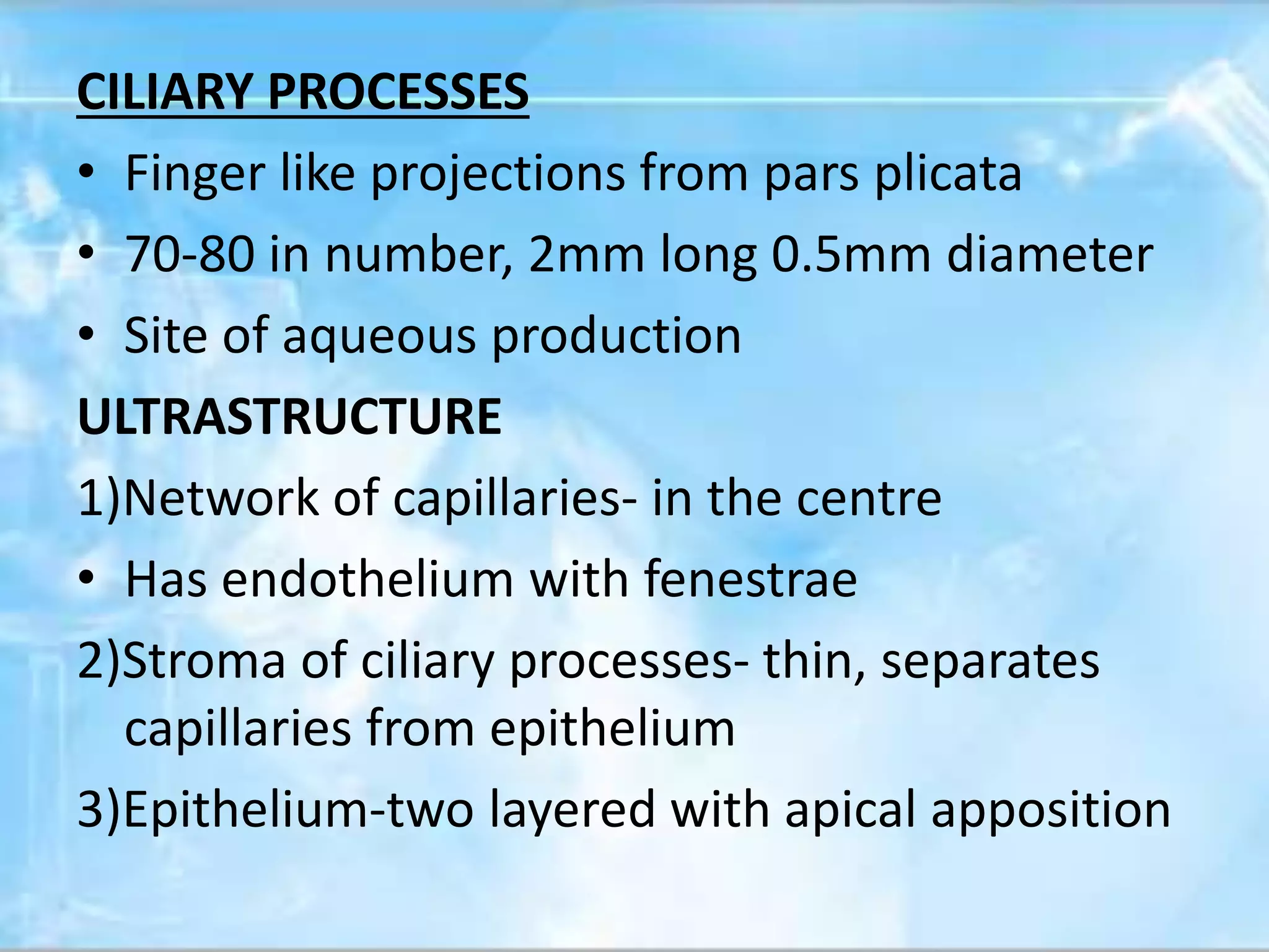 #ANATOMY OF UVEA (IRIS, CILLIARY BODY, CHOROID) | PDF
