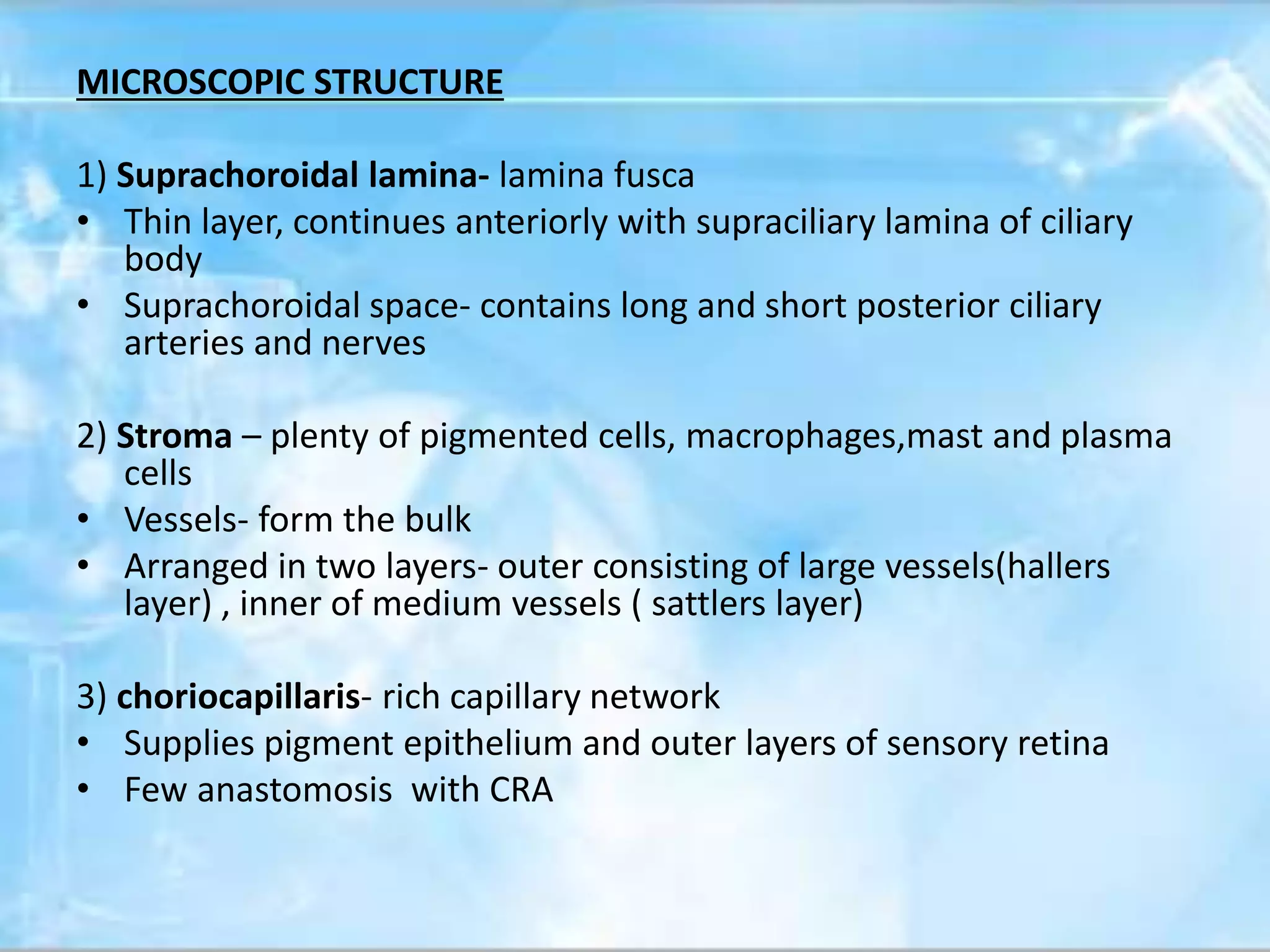 #ANATOMY OF UVEA (IRIS, CILLIARY BODY, CHOROID) | PDF