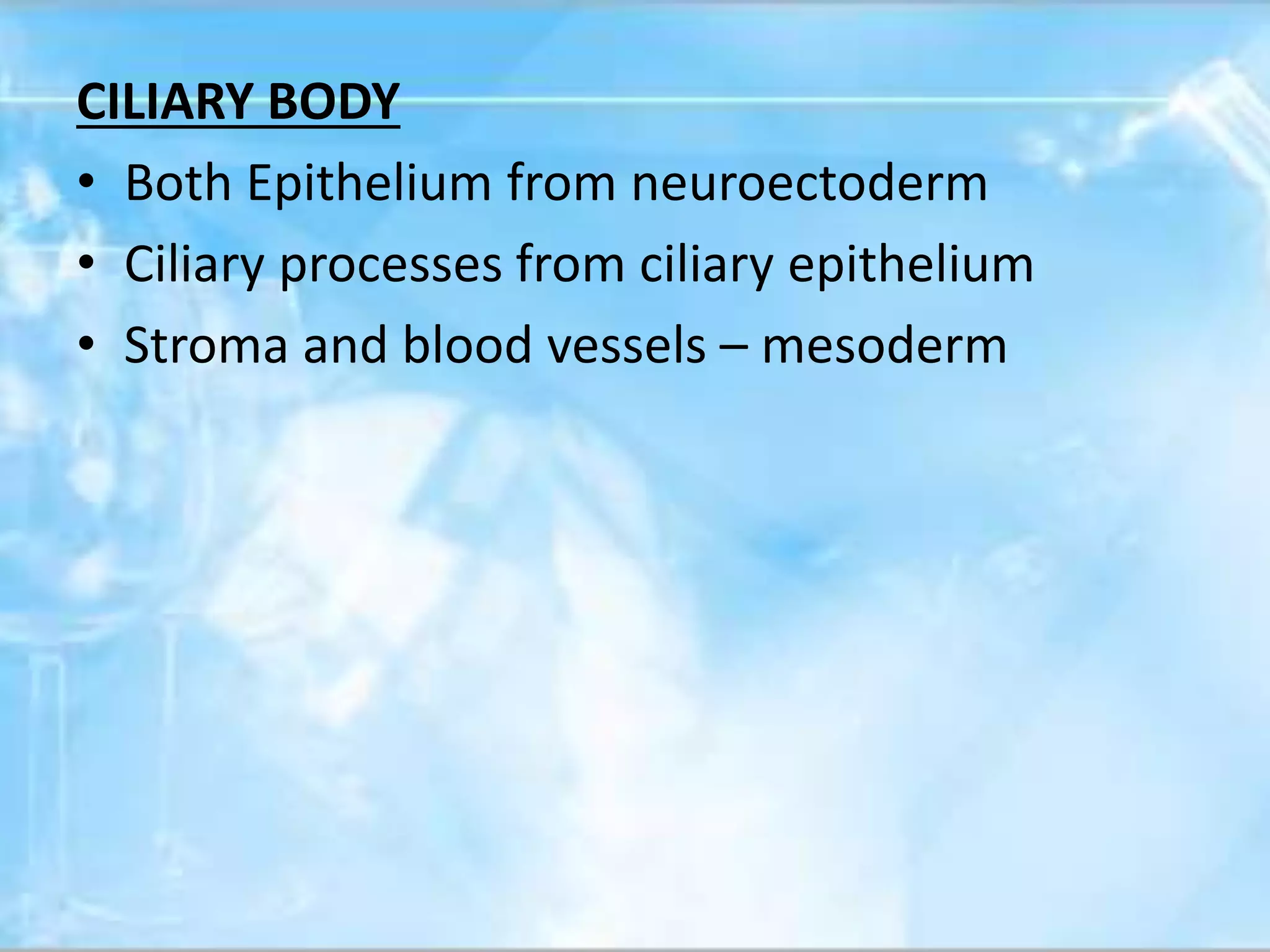 #ANATOMY OF UVEA (IRIS, CILLIARY BODY, CHOROID) | PDF