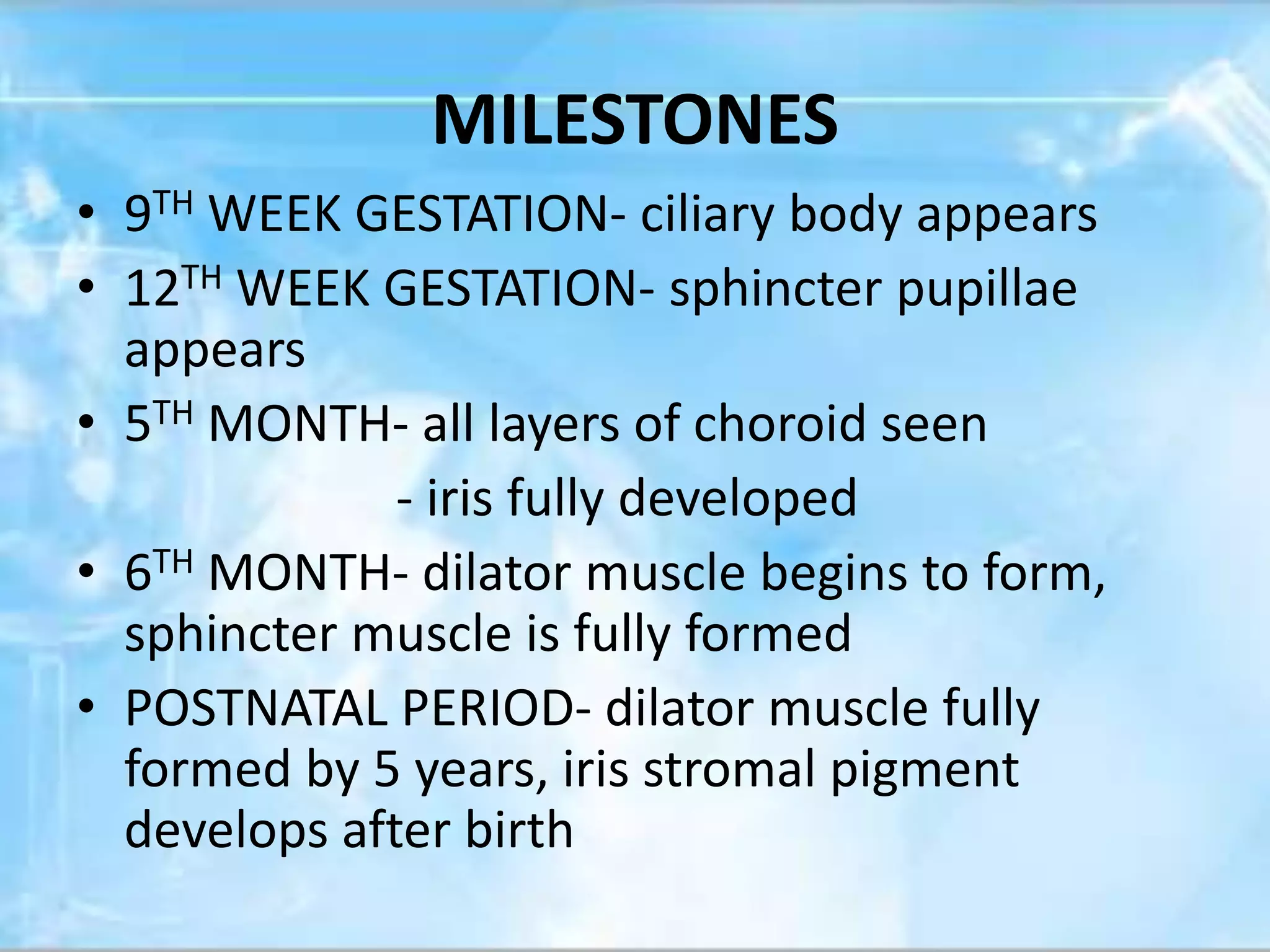 #ANATOMY OF UVEA (IRIS, CILLIARY BODY, CHOROID) | PDF